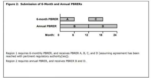 PBRER | Periodic Benefit Risk Evaluation Report - Simple Facts That You ...